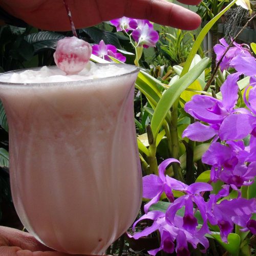 Guava Colada – SpiceGnome